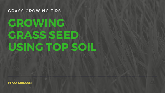 Growing Grass Seed Using Top Soil | Peak Yard