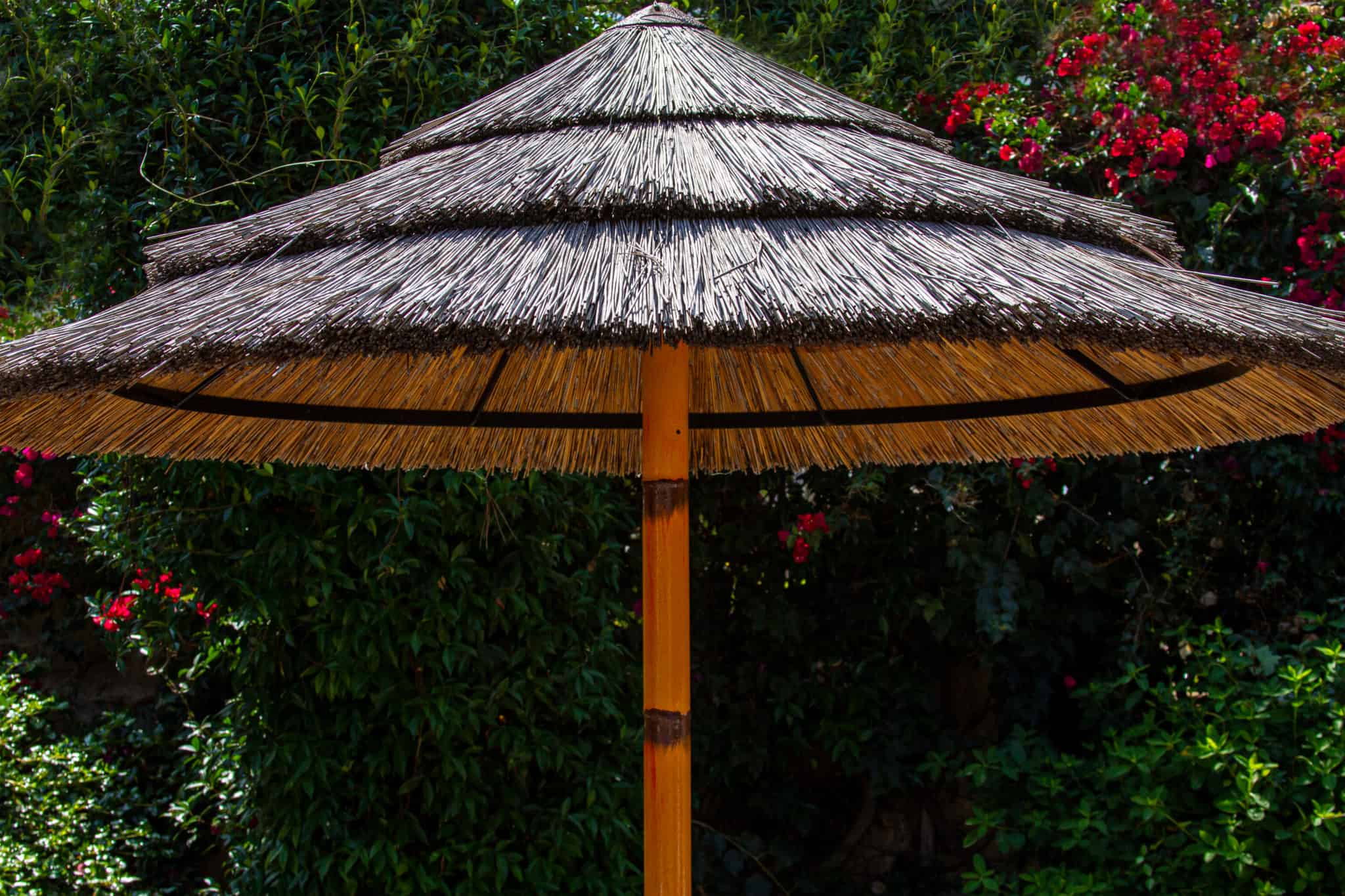 9 Types of Patio Umbrellas - Peak Yard