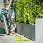 5 Efficient Ways to Pick Up Acorns - Peak Yard