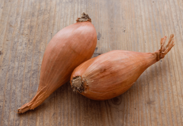 Shallots vs Scallions - Discover the Differences - Difference and ...